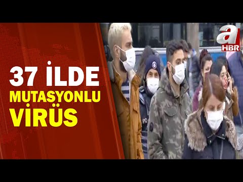 Mutasyonlu Virüs Yayılıyor / A Haber | A Haber