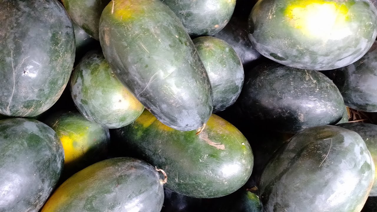 water Malan in Siliguri supermarket/majumdar sobgi bhandar - YouTube