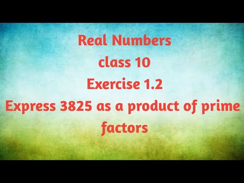 Class 10th Real Numbers Chapter 1 Ex 1.2 Express 3825 as a product of ...