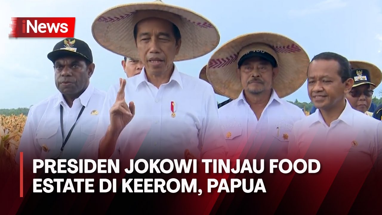 Presiden Jokowi Tinjau Lokasi Food Estate di Kerom Keerom, Papua - YouTube