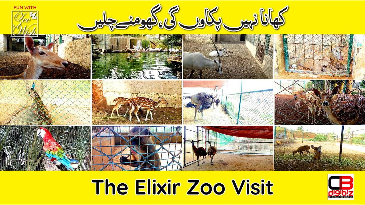 ZeeWish Visit to Elixir Zoo | Summer | Walking Tour | Exotic Birds # ...