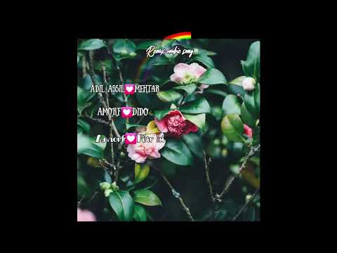 Arabic soNg remix,.Adil assil Amorf dido