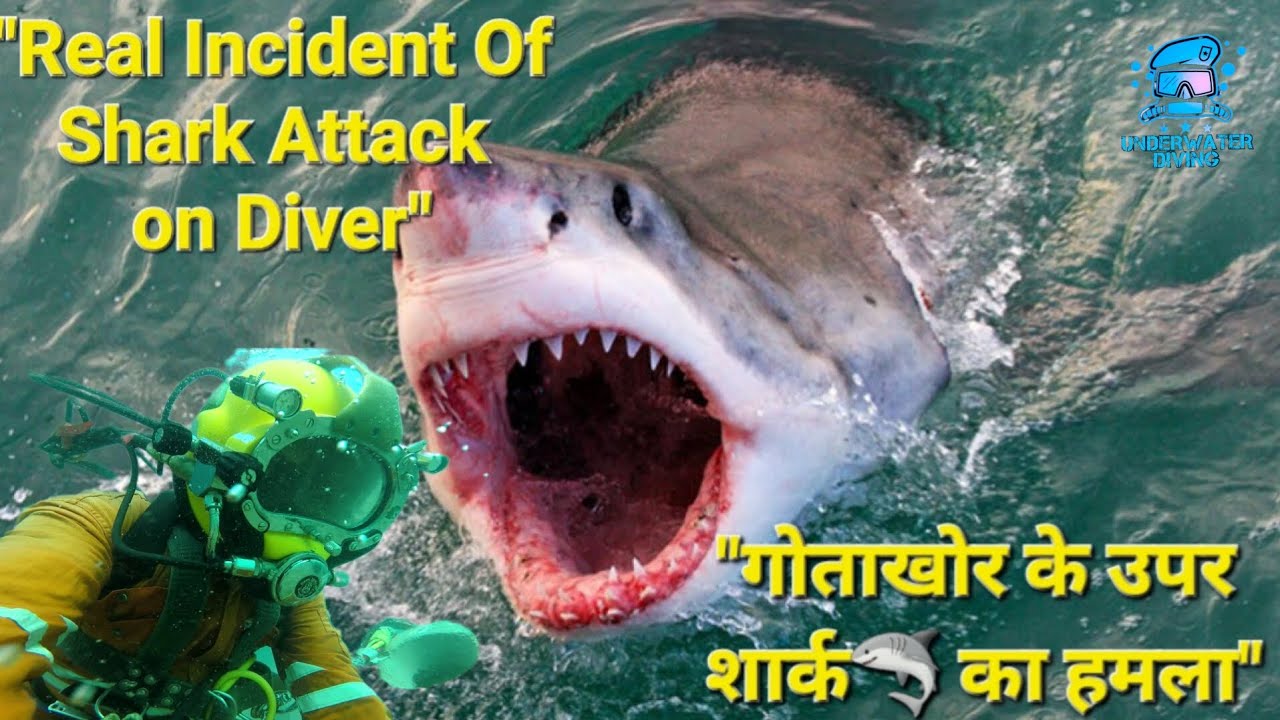 Real Incident Of Shark Attack On Sat Diver. - YouTube
