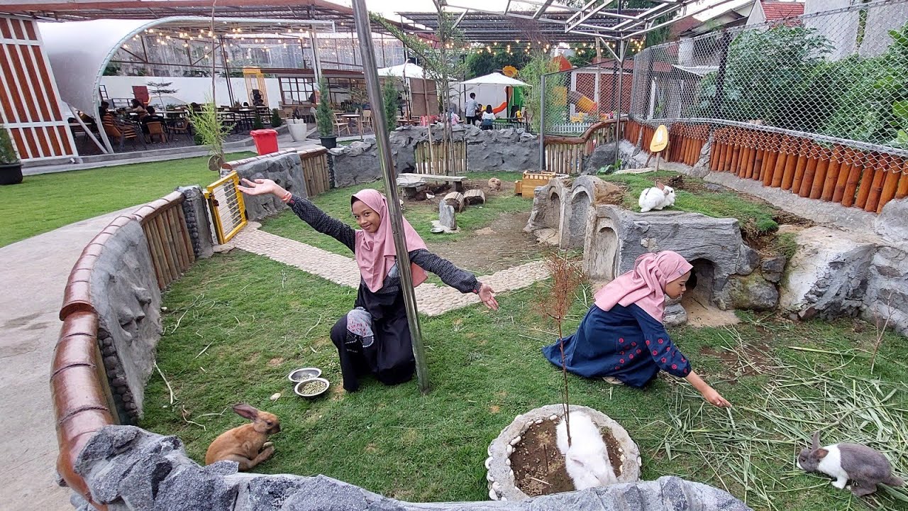 PIATA LAND CAFE PLUS PLAGROUND, MINI ZOO DAN SKATE PARK - YouTube