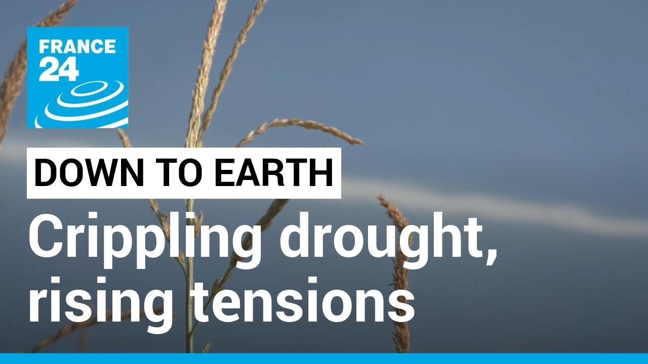 Crippling drought, rising tensions • FRANCE 24 English - YouTube
