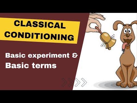 Classical conditioning; Experiment and Basic Terms - YouTube