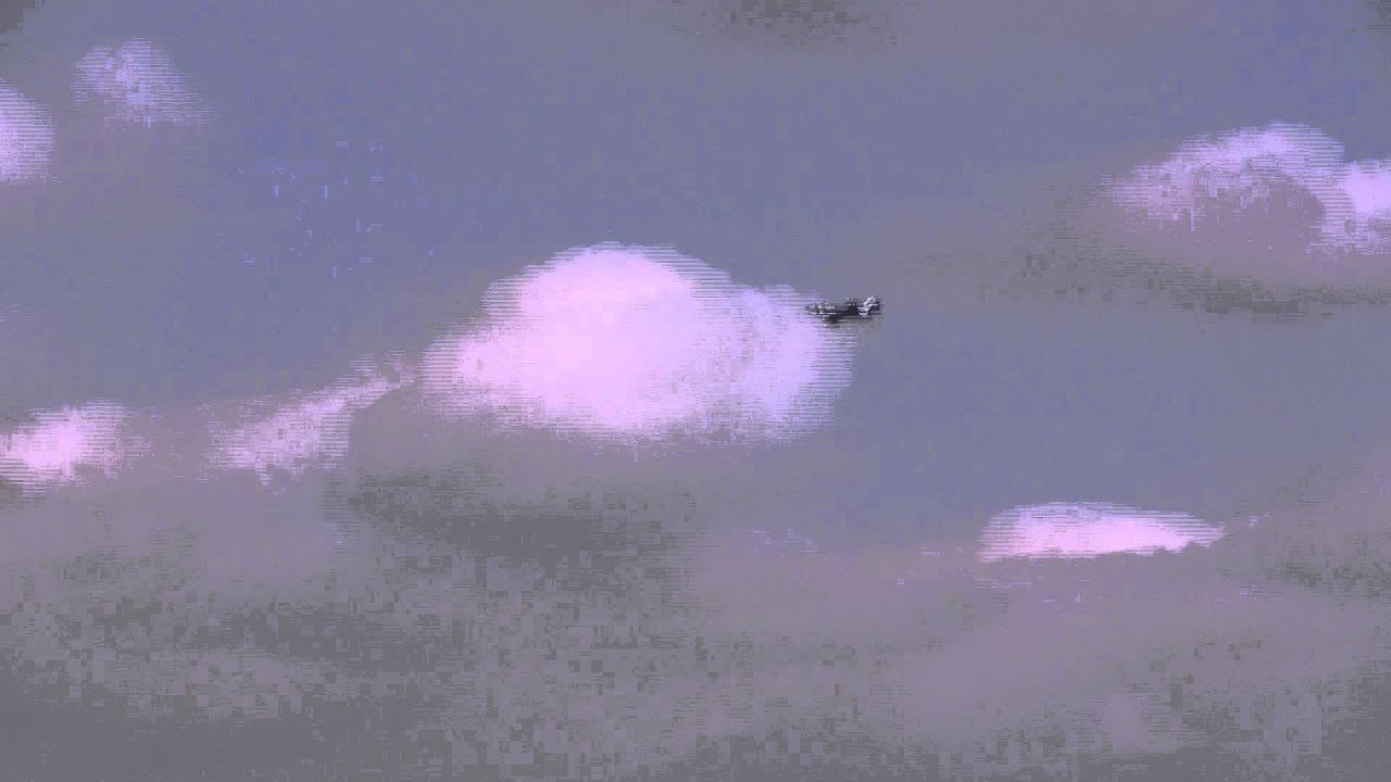 ASM Panther Maiden with DS-77 HST fan - YouTube