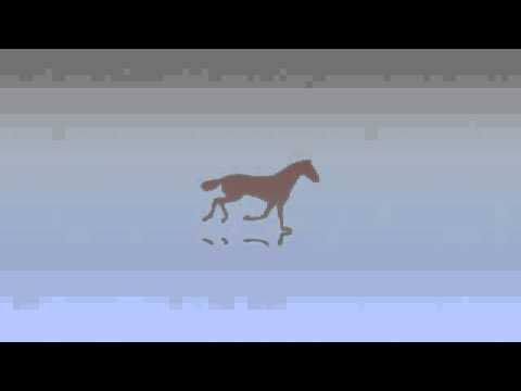 Running Horse Animation - YouTube