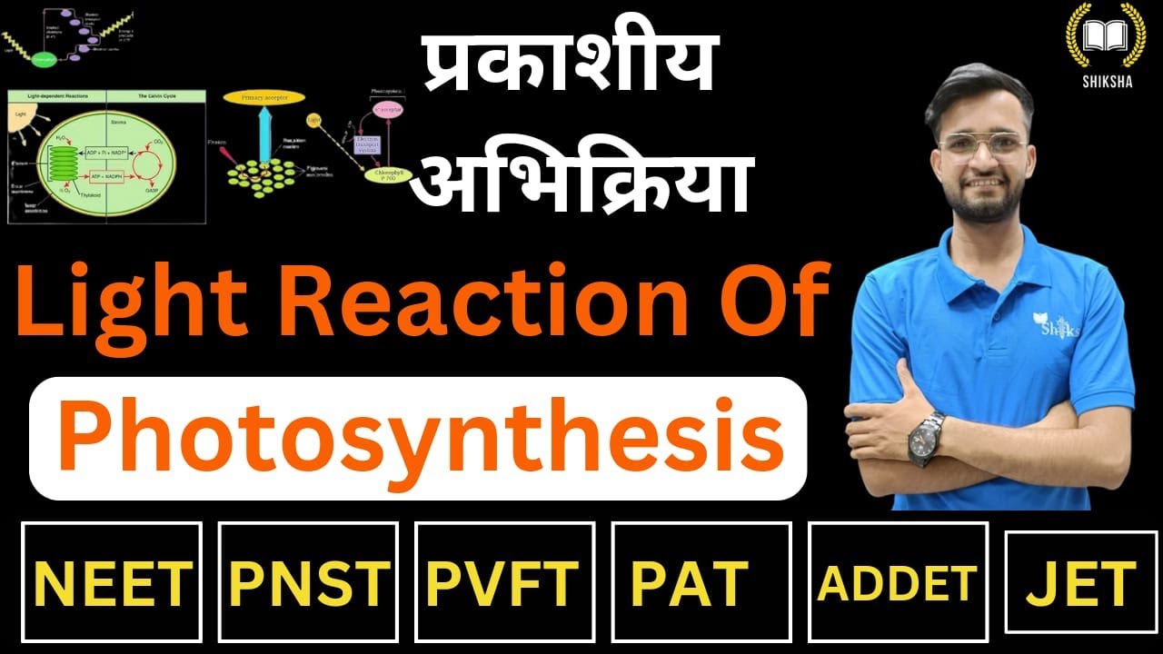 06 LIGHT REACTION OF PHOTOSYNTHESIS || प्रकाश संश्लेषण की प्रकाशीय ...