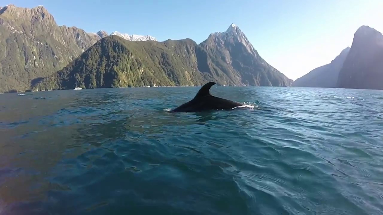 NEW ZEALAND 2017 - YouTube