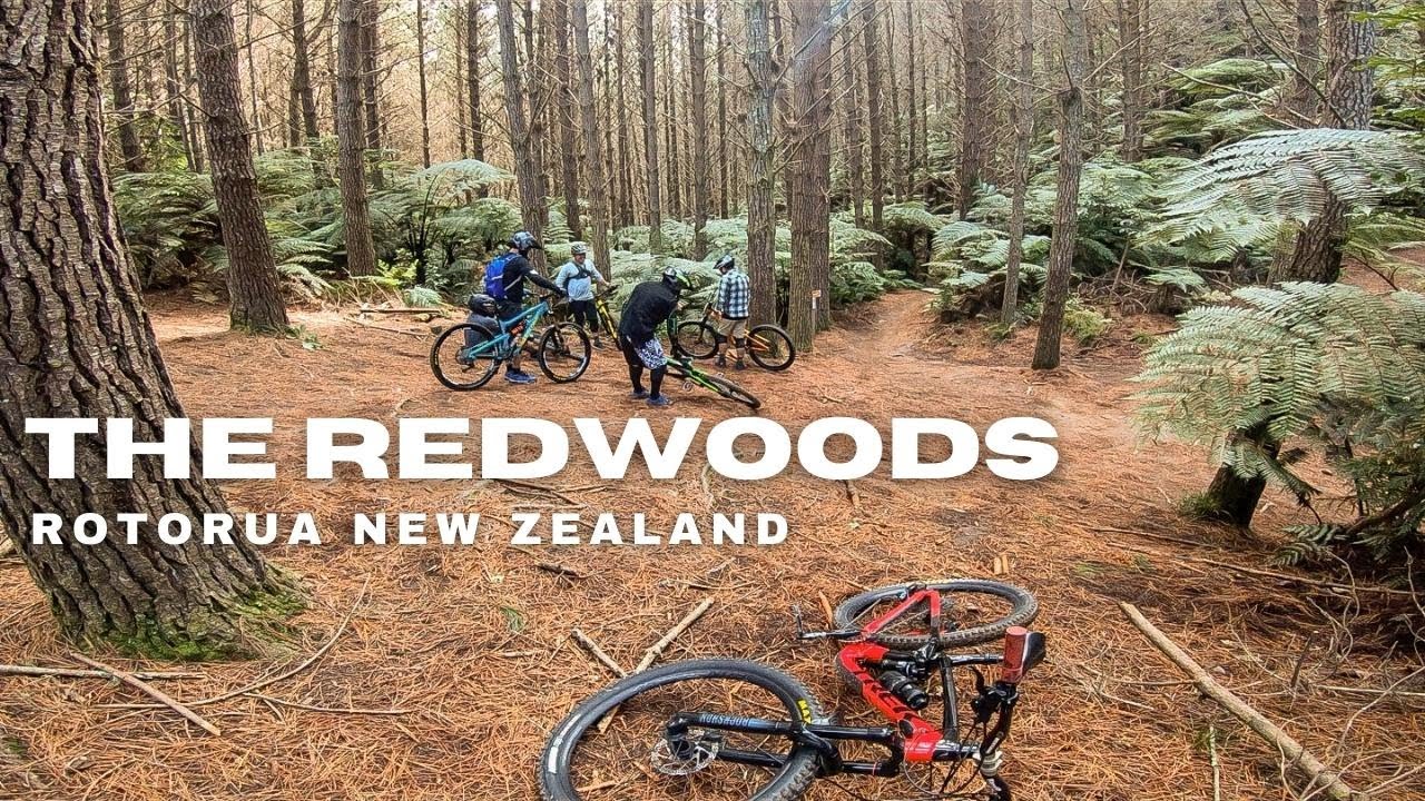 Redwoods Rotorua Mountain biking | TREK Fuel EX7 - YouTube