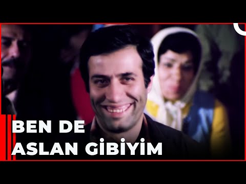 Kuran Çarpsın da Gör Ananın Fotoğrafını | Umudumuz Şaban