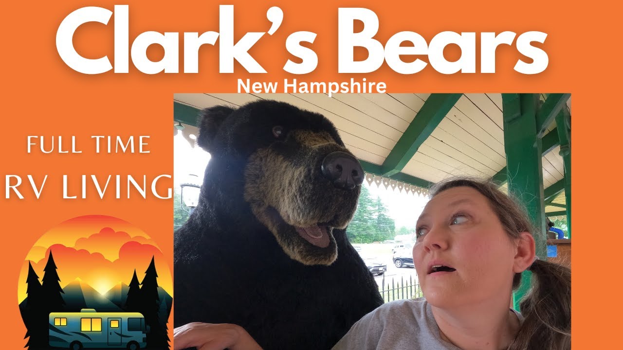 Clark's Bears in Lincoln New Hampshire - Amazing ! - YouTube