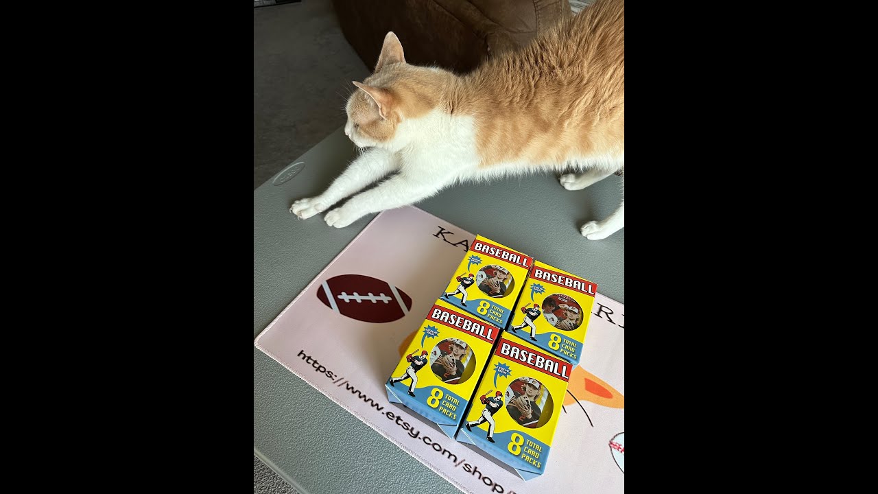 2024 Target Fairfield Baseball Mystery Box Repack Opening Fun Repack ...