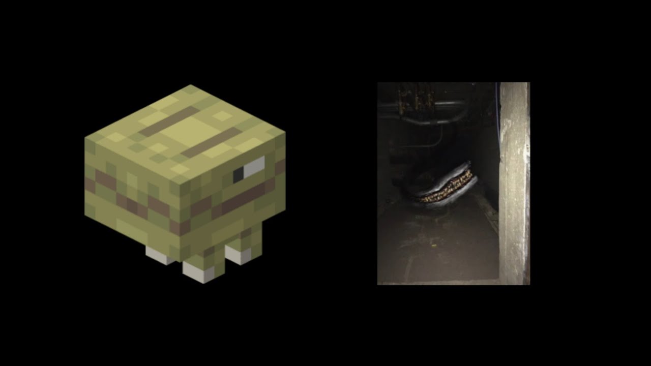 Minecraft mobs as cursed images: Outvoted and command mobs. - YouTube