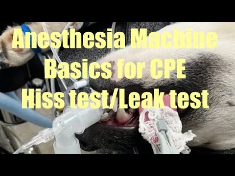 Basics of the Veterinary Anesthetic Machine and How to perform a Leak ...