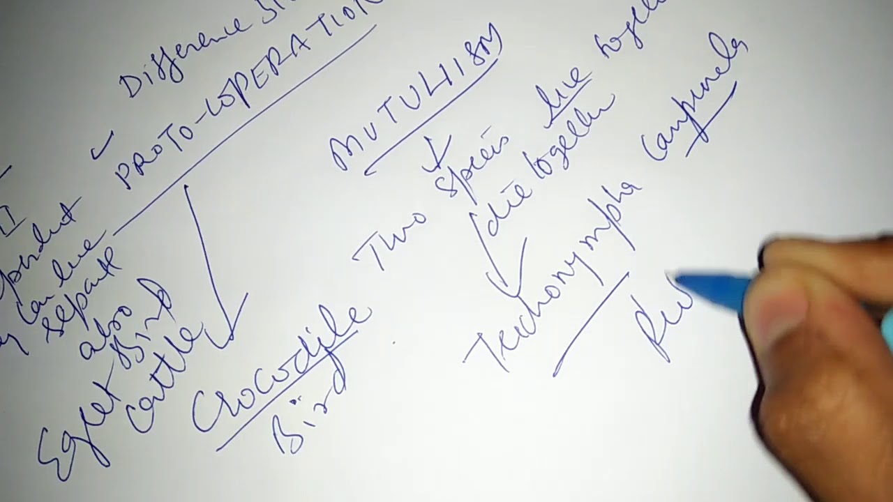 Difference between protocoperation and mutualism with examples - YouTube