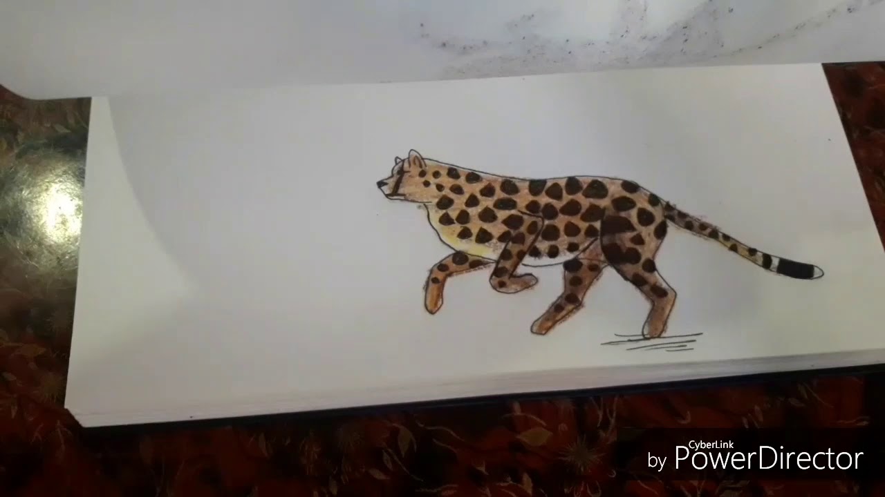 FLIPBOOK VS STOP MOTION ( Cheetah running) - YouTube