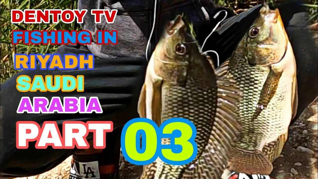 DENTOY TV/FISHING IN RIYADH SAUDI ARABIA/HOOK FISHING PART 03 - YouTube