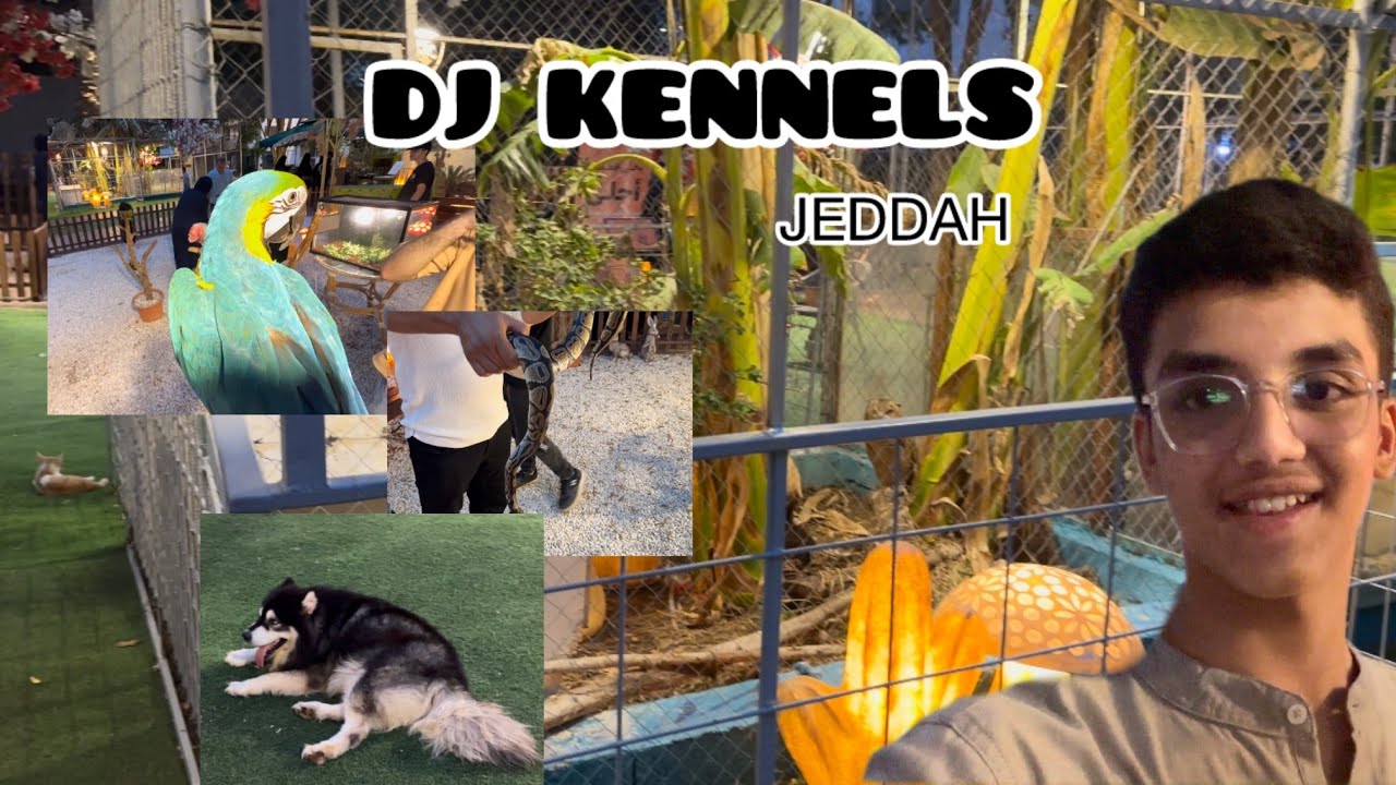 DJ KENNELS Jeddah full vlog 😮#zoo#jeddah#vlog#animals#danimultizone ...