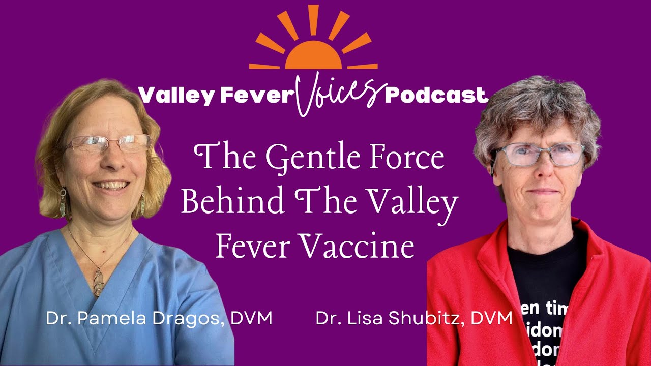 A behind-the-scenes look at the Valley Fever vaccine with pioneer, Dr ...