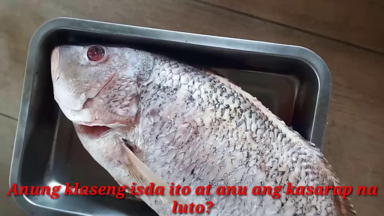 maya mayang dagat sarap - YouTube