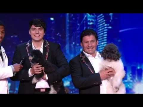 America Voted ☆ - America's Got Talent Olate Dogs Quarterfinals - YouTube