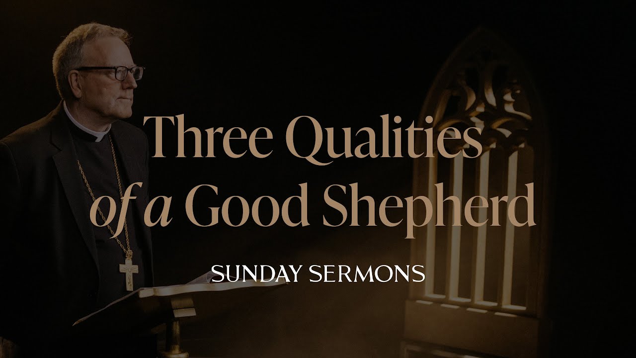 Three Qualities of a Good Shepherd - Bishop Barron's Sunday Sermon ...