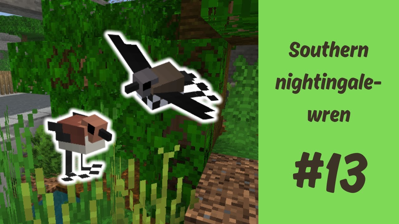 Minecraft Nightingale Bird Not Much Going Here…other Than... The