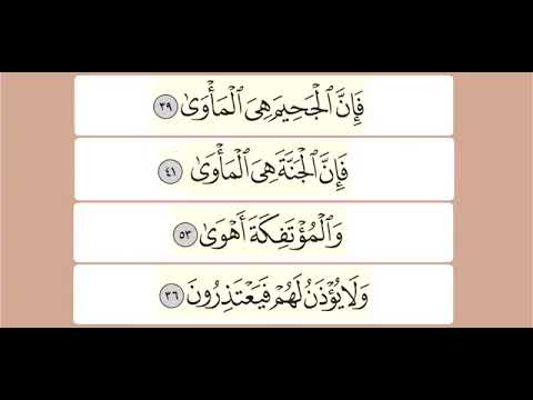 Practice the letters with Sheikh Ayman Suwayd - YouTube