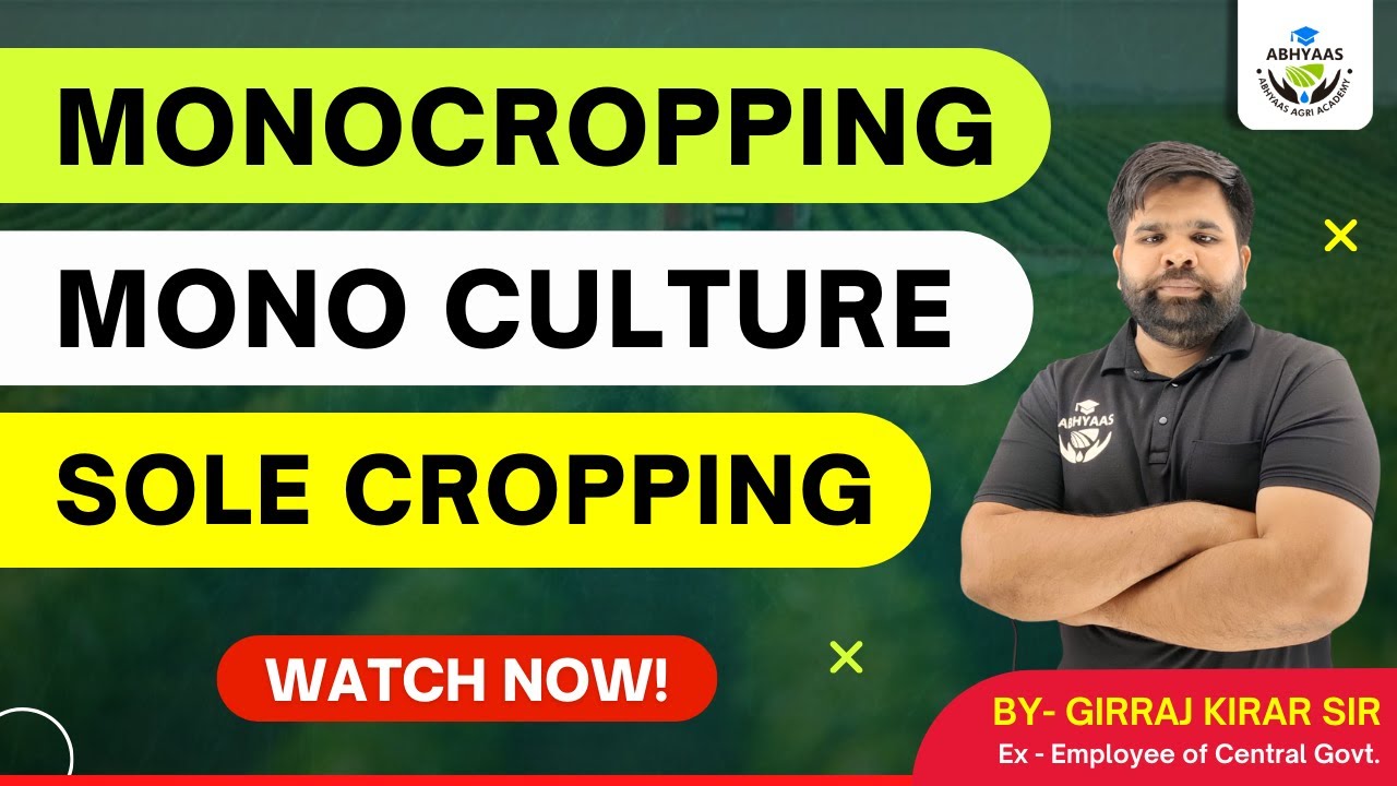 |MONOCROPPING| MONOCULTURE| SOLE CROPPING| - YouTube