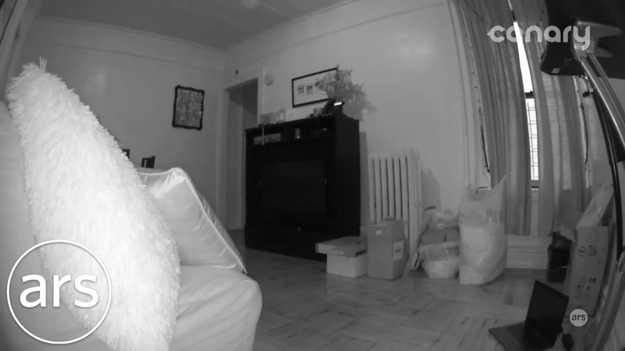 Canary Sample Footage - YouTube