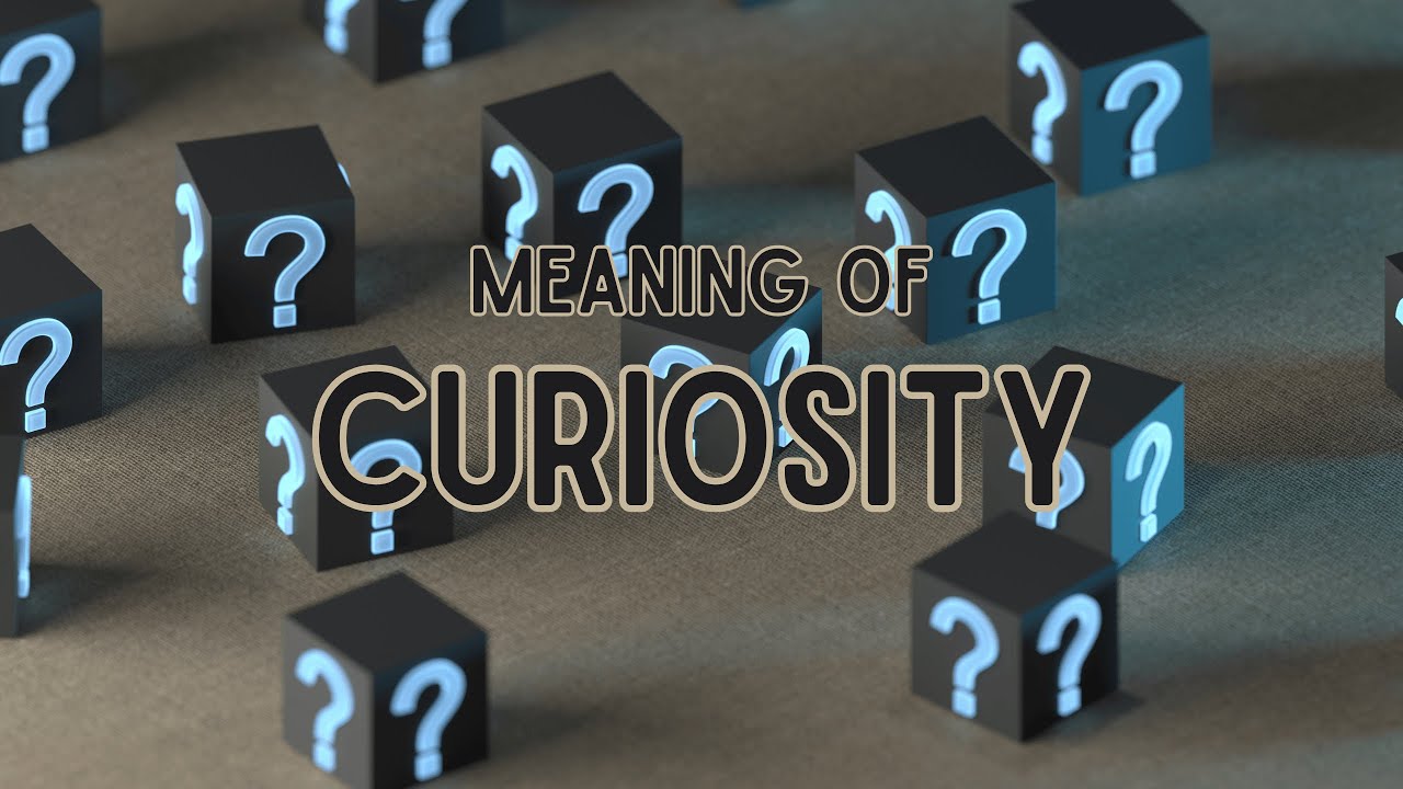 What is the meaning of Curiosity? - YouTube