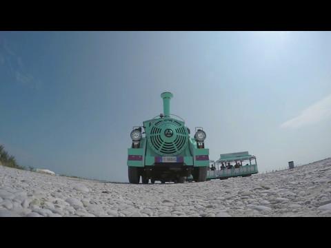 DOTTO TRAINS - Porto San Giorgio - Fermo