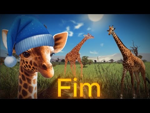 O ultimo vídeo no Savannah Life (Ep 80) - YouTube