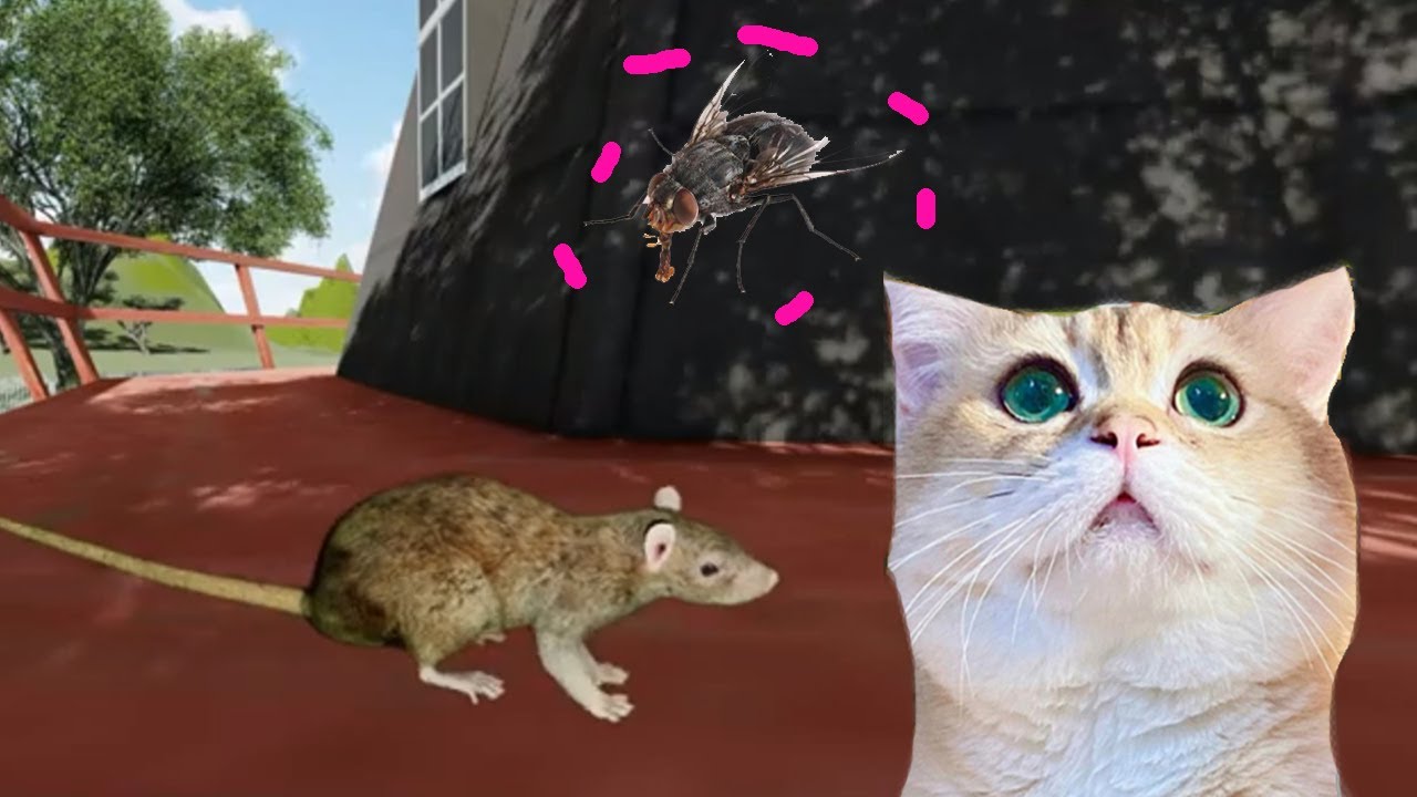 CAT GAMES l Cat game catch the mouse and fly | CAT TV | 10 min.(side ...