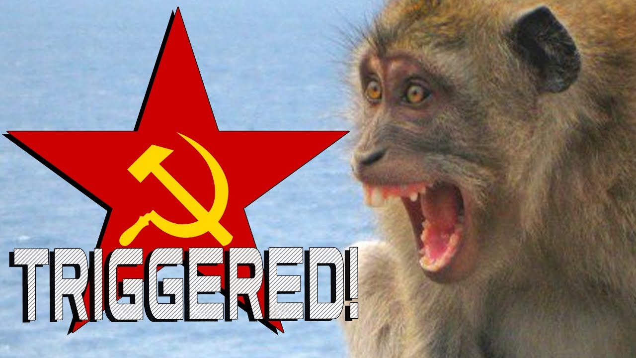 TRIGGERED - Eat Monkey Food, Ya Commie! (MARCH 16, 2018) - YouTube