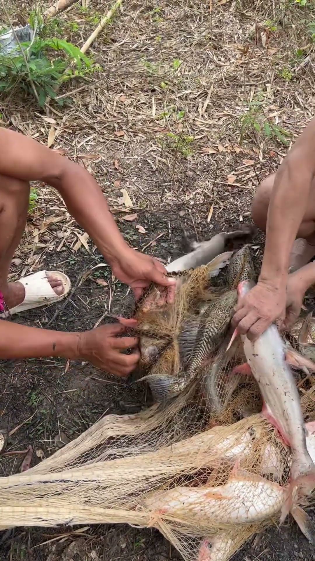 Amazing Finishing net video 🐸🎣🎣🐬🐋🐬🐋 - YouTube