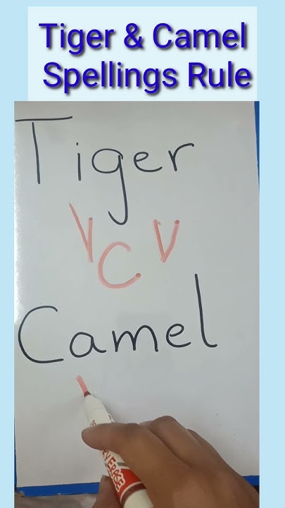 Tiger & Camel Spellings Rule - YouTube