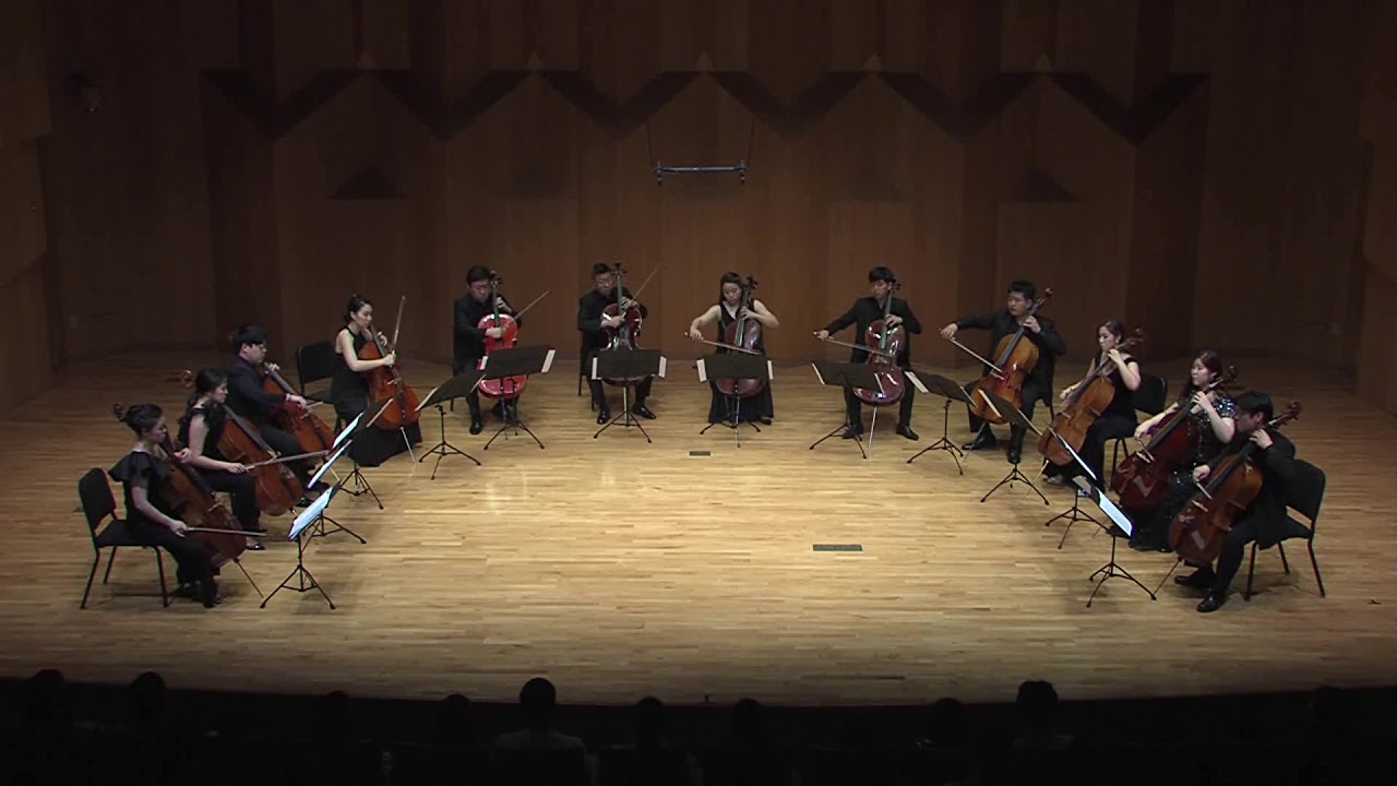 Cellista Cello Ensemble (Korean top 12 cellists) - Vitali Chaconne ...