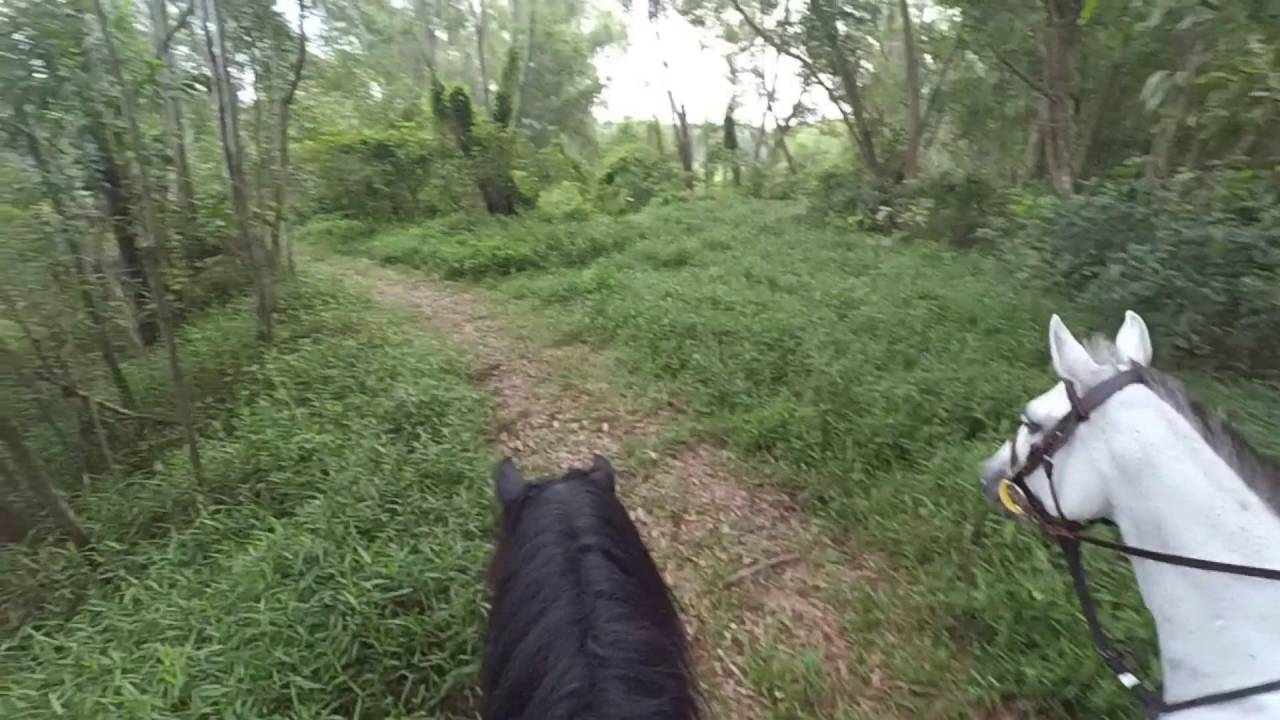 Trail Ride @ Paya Indah Wetlands, Dengkil - YouTube