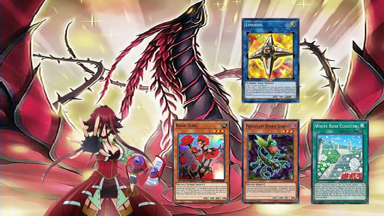 『EDOPRO』Rose Dragon deck 2020 - YouTube