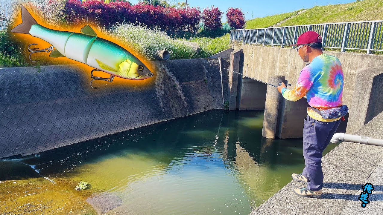 How to move lures like real fish -DOWZSWIMMER∞240SF- - YouTube