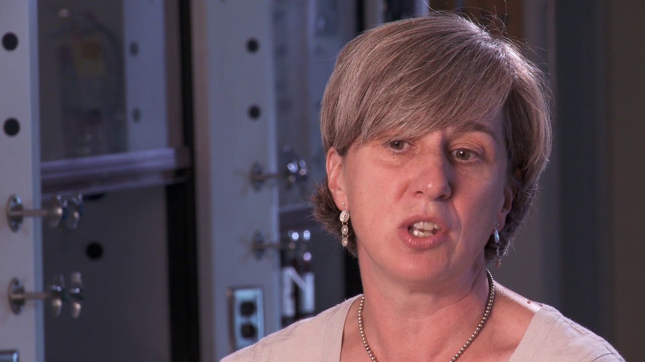 Why this Campaign Matters - Dr. Karen Schmeichel - YouTube