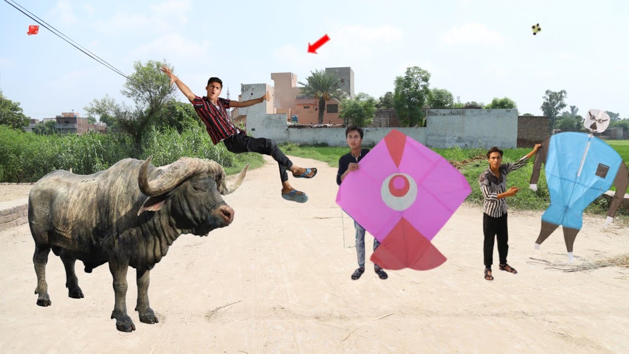 Cutting Gudda Kite & Nasir Baby Cow 🐄 - YouTube