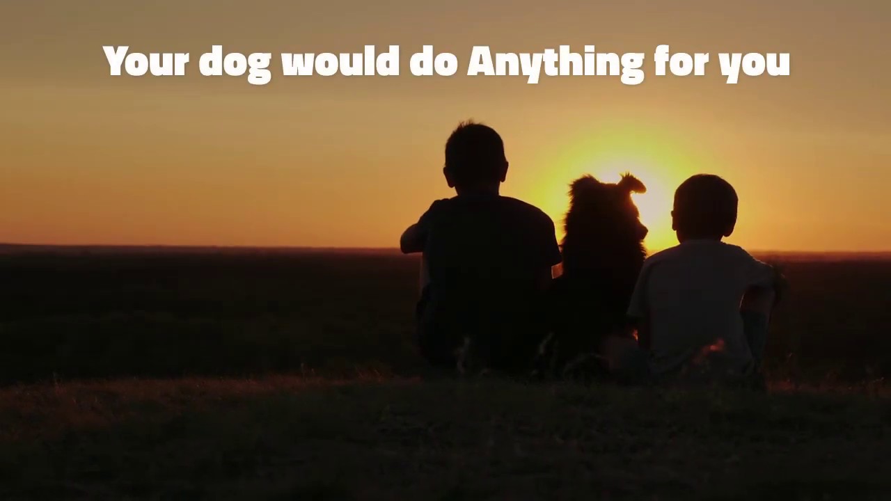 Book Trailer WEARY ROAD by James Babb - YouTube