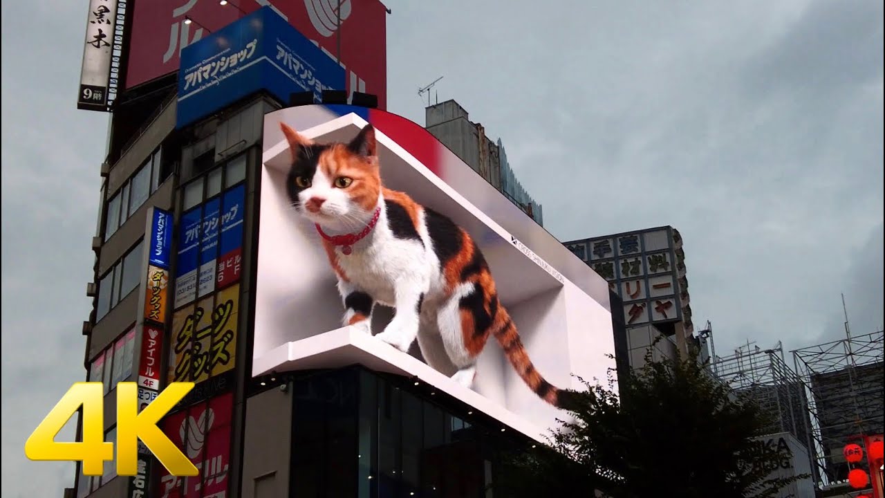 【4K】Tokyo Walk - Shinjuku - Gigantic 3D Cat, Kabukicho and Tokyo ...