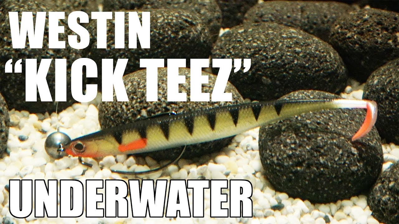 Westin: Kick Teez! Lure action on a Cheburashka Rig! Underwater! Full ...