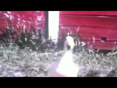 Sesame Street - What Sound does a Duck make? - YouTube