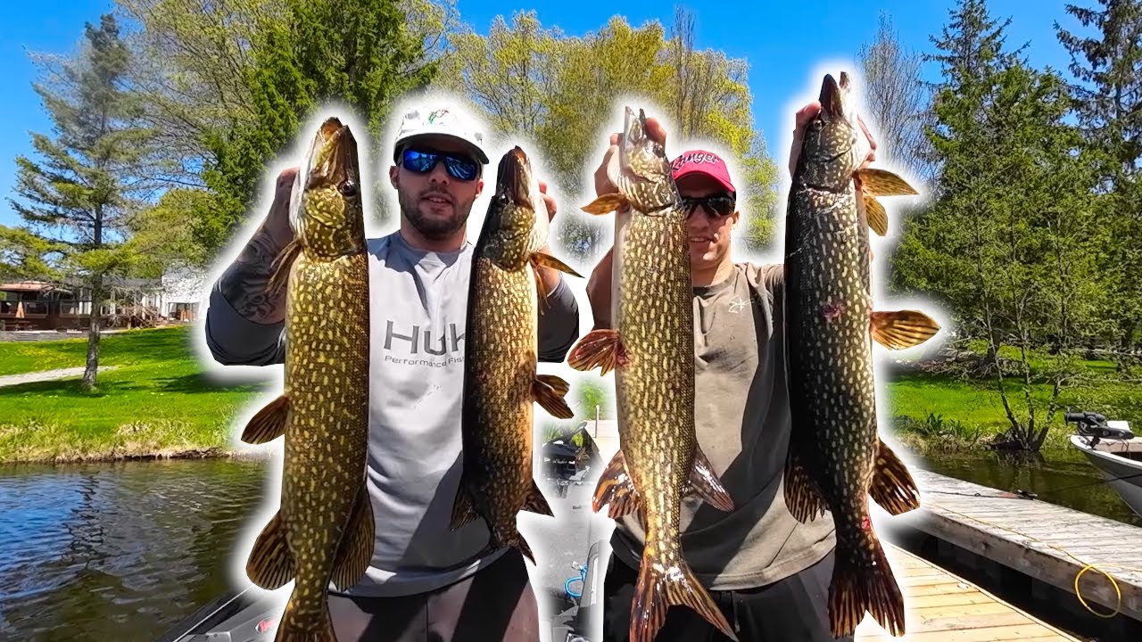 Fishing for Spring Pike in Ontario (Gloucester Pool) - YouTube